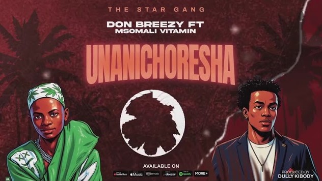 Don Breezy Ft Msomali Vitamin – Unanichoresha (Download Mp3) | SautiKing